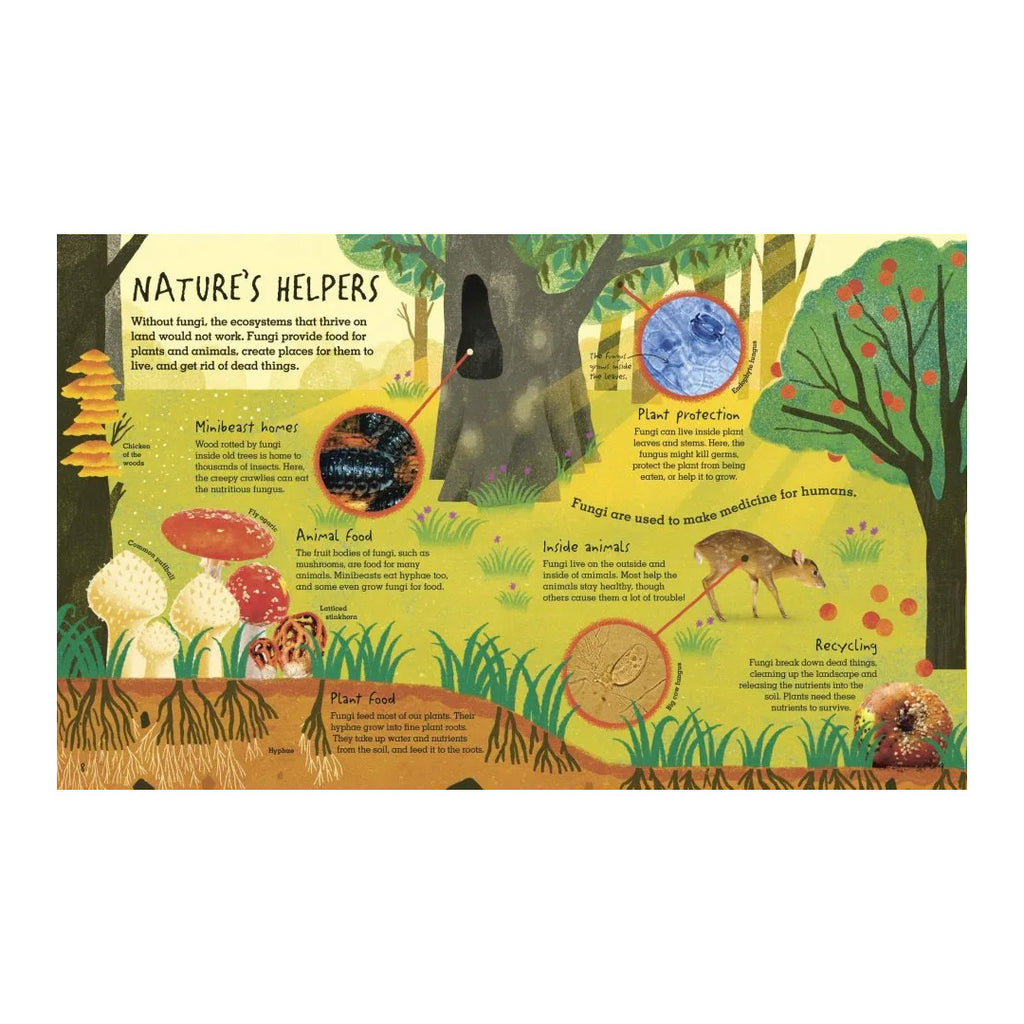 Humongous Fungus – Snackfood Design