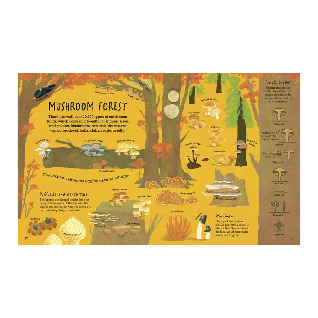 Humongous Fungus – Snackfood Design